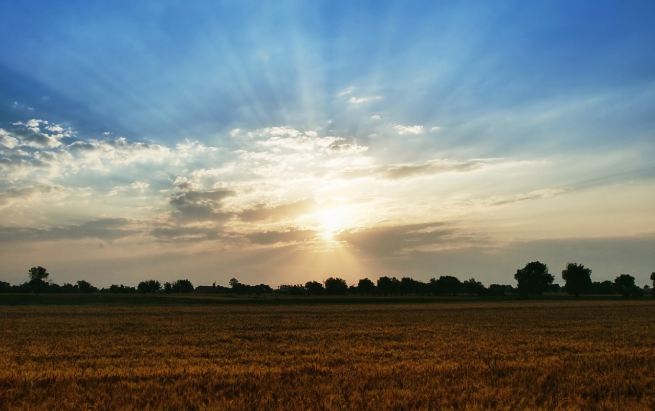 Vine soarele! Ce se întâmplă cu vremea - Editia de Dimineata