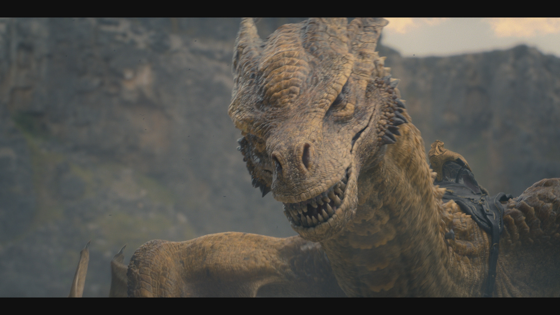 HoTD (2) - Editia de Dimineata